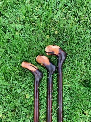 Blackthorn Walking Stick Inches | Irish Shillelagh Cane | eBay