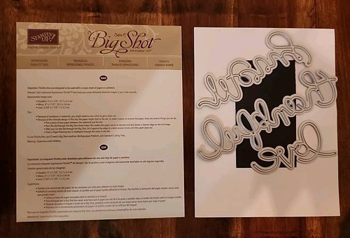 Stampin' Up! EXPRESSIONS Thinlits Dies - 132171 | eBay