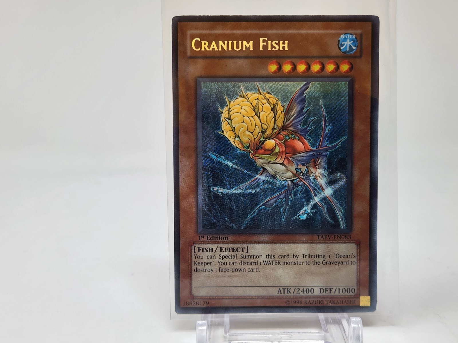 Yu-Gi-Oh Cranium Fish TAEV-EN083 1st Edition Secret Rare NM | eBay