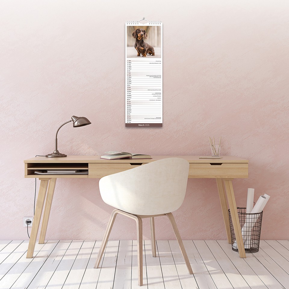 Dachshund Slim 2026 Calendar | Slimline Dog Breed Gift 20% OFF MULTI ...
