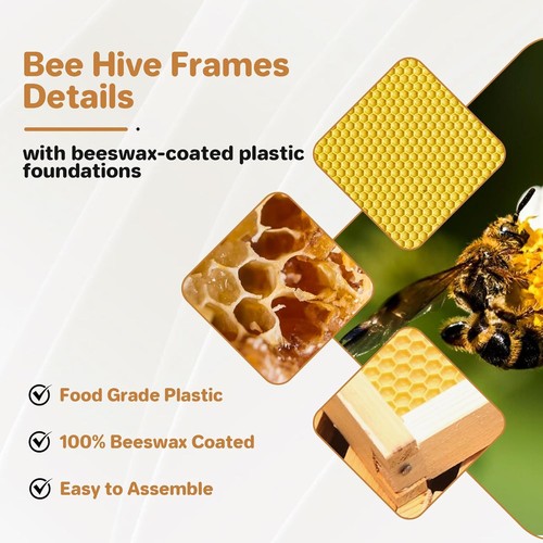 10-Frame Complete Beehive Wax Coated Bee Hives for Beginner w/ Beehives ...