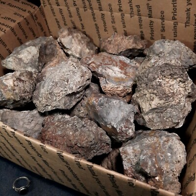 DINOSAUR COPROLITE - WYOMING GEM GRADE - 20+ LB BULK ROUGH MIX - LARGE ...