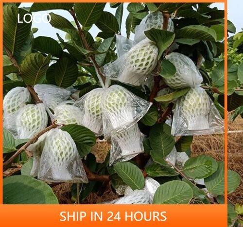100 Pcs Anti-Bird Insect Net Protect Bag Guava Protection Cover ...
