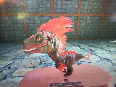 Ark Survival Ascended PVE Raptor Chibi Unleveled | eBay