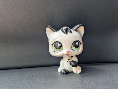 Littlest Pet Shop LPS #493 Black White Kitten Magic Motion Cat RARE ...