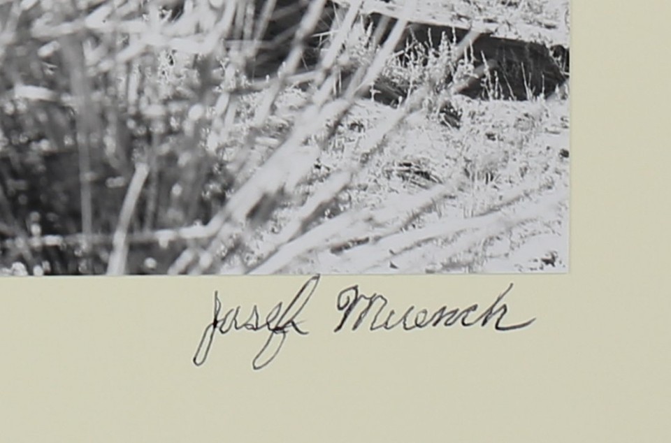 Josef Muench American 1904-1998 B/W Gelatin Silver Photograph Desert ...