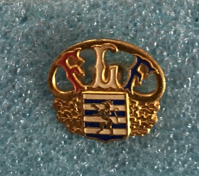 badge FLF LUXEBURG FA Football Fussball pin distintivo Knopfloch ...
