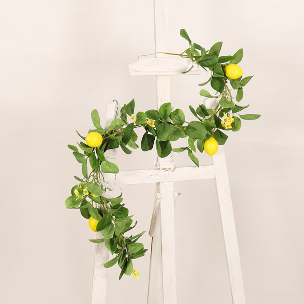 Lemon Cane Spring Fruit Decor Household Summer Plant Greenery | eBay