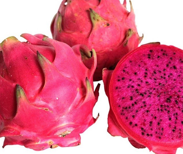 250+ Big Giant Red Dragon Fruit Seedss (Hylocereus costaricensis) | eBay