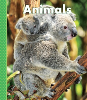 Delta Science First Readers, ANIMALS, 8 pack - Brand New | eBay