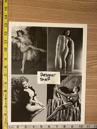 Burlesque Women Sally Rand Tempest Storm Lili St. Cyr Book Photograph ...