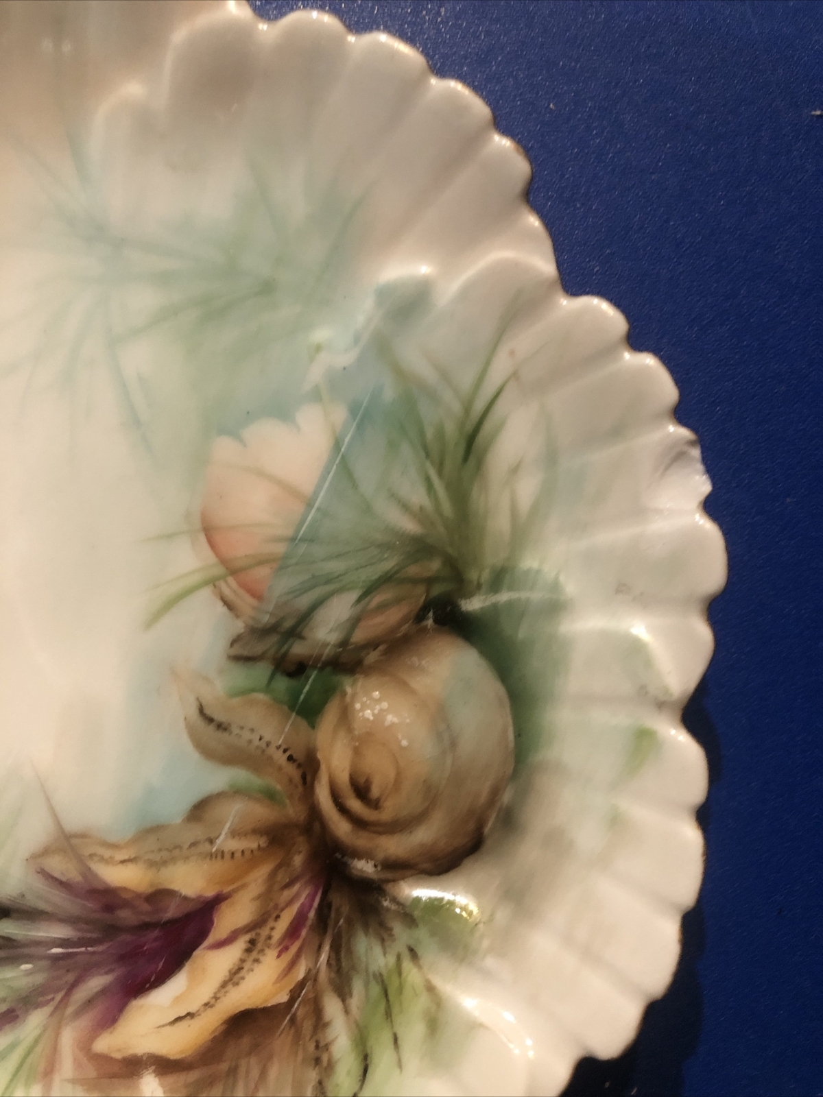 LIMOGES PORCELAIN Plate With Shell Underwater Design Handpainted | eBay