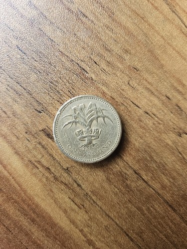 1 pound coin 1985 rare | eBay UK