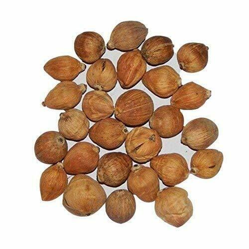 LAGHU NARIYAL 11 PC Sriphal (Small Coconut) for Wealth and Prosperity ...