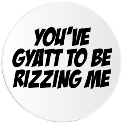 You've Gyatt To Be Rizzing Me - 3 Pack Circle Stickers 3 Inch - Humor ...