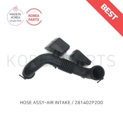 GENUINE Air Intake Hose for Hyundai Santa Fe Kia Sorento 281402P200 | eBay