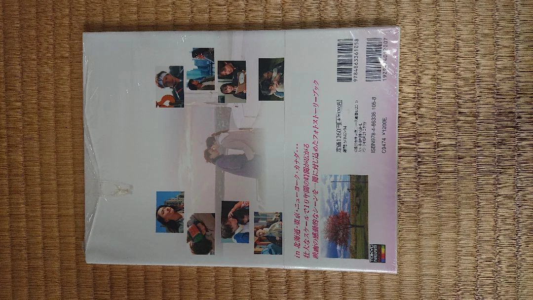 Yui Aragaki Hanamizuki