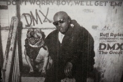 DMX Poster Wall Art Home Decor Photo Prints 16x24, 20x30, 24x36" | eBay