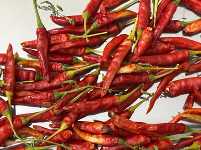 Pequin Chili Pepper Seeds - Organic - Compact Spicy Chili, Piquin, Bird ...
