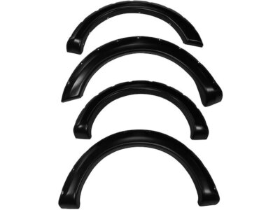 Trail Ridge Fender Flare Hardware Kit fits Ford F150 2004-2008 59VJNN ...