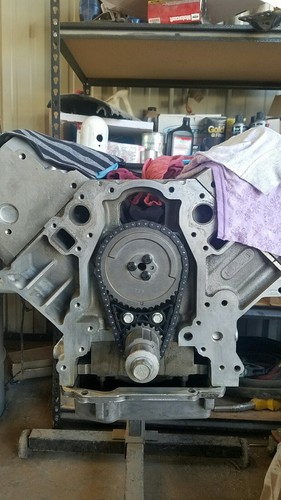 GM Oem-engine Timing Chain 12646386 for sale online | eBay