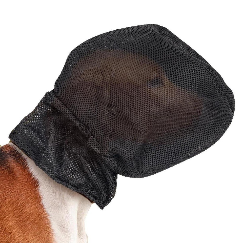 Dog Foxtail Mask Protector Field Net Guard Comfort Mesh for Hiking ...