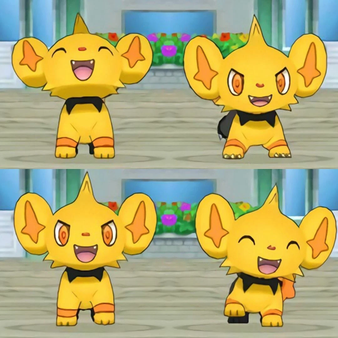 Shiny Shinx