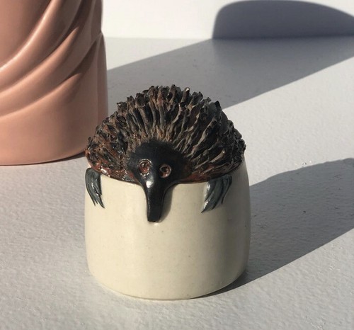 Ceramic Handmade Pottery Echidna Jar Painted RR Australian | eBay Australia