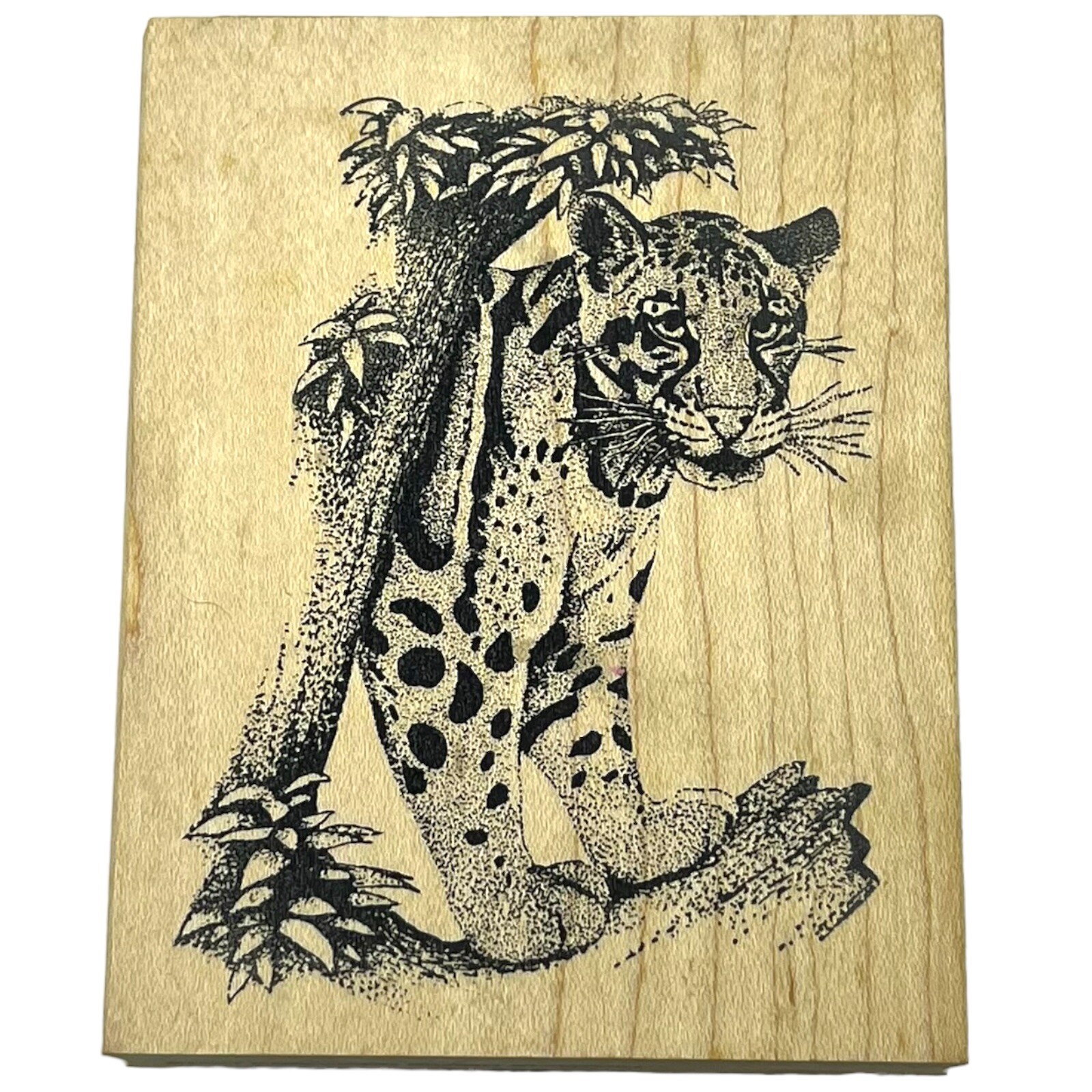 Coronado Island Stamping Clouded Leopard Mounted Rubber Stamp SJ003-J 4 ...
