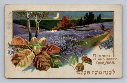 Antique American Judaica Postcard Rosh Hashanah CHICAGO Schmidt Jewish ...