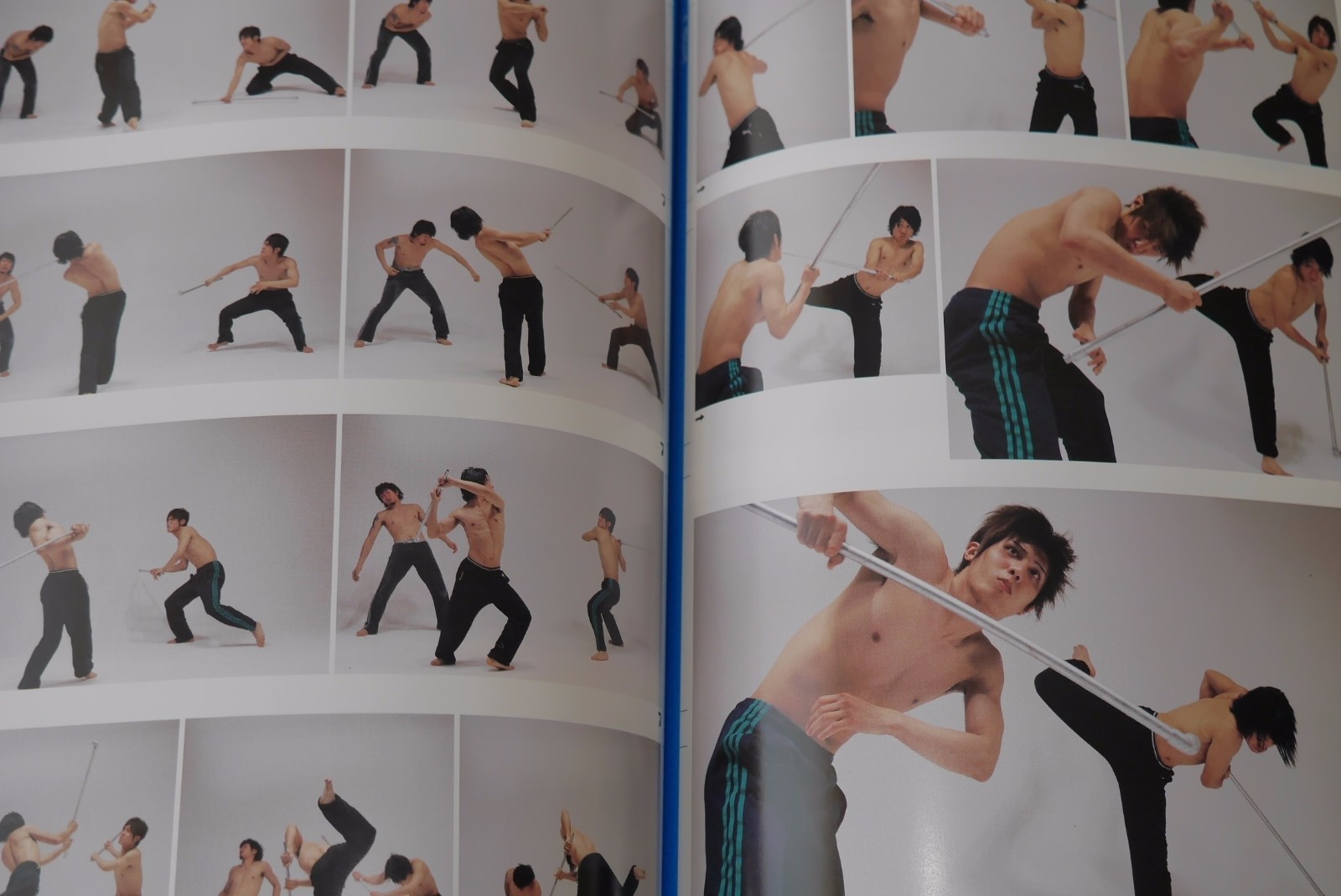 Real Action Pose Collection - Japanese Pose Book (Fighting,Stunt ...