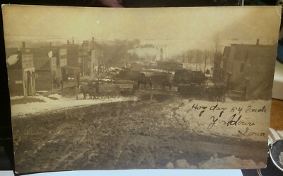 Hog Day, YORKTOWN, IOWA, Photo Post Card, Page County, 1905-15 STREET ...
