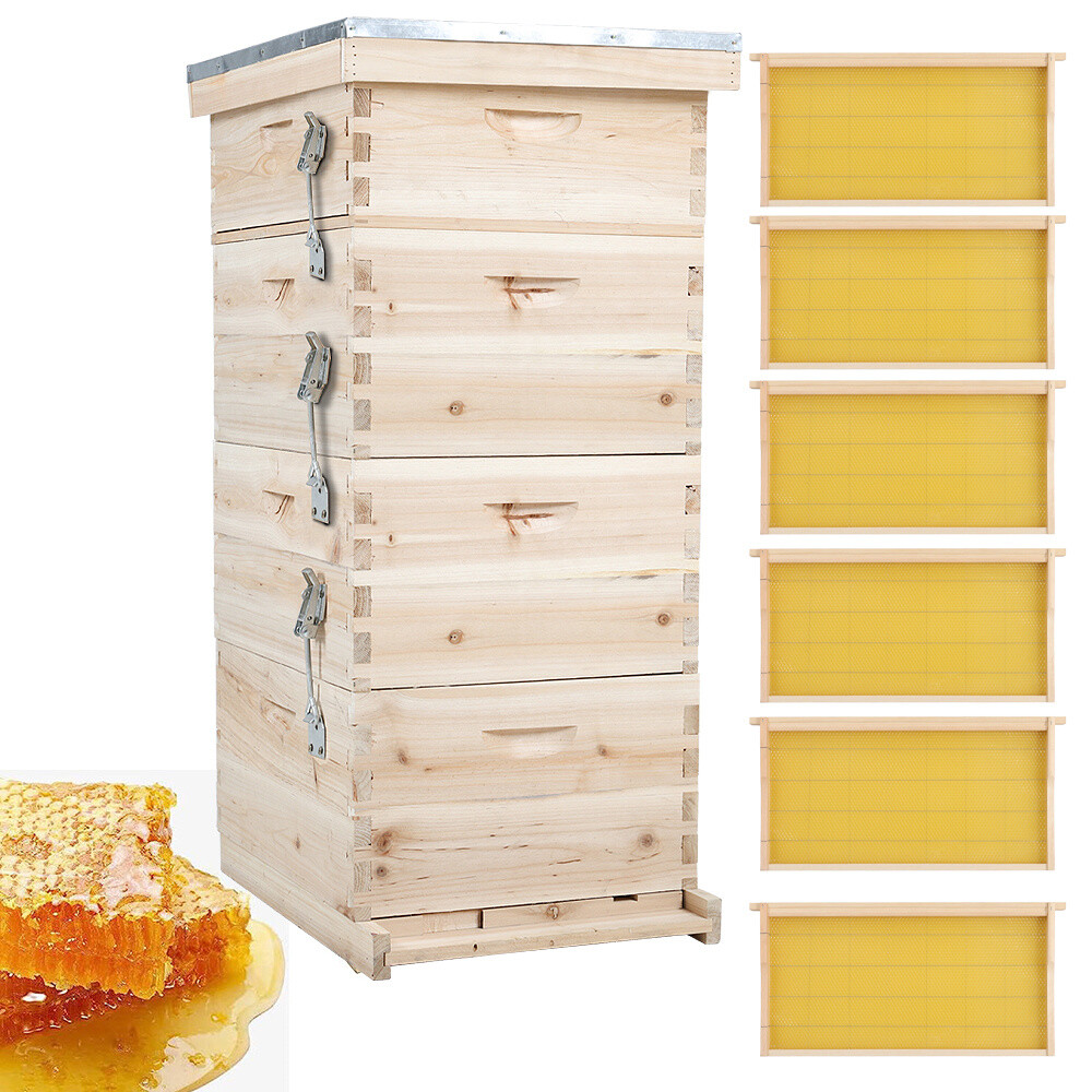 4Tier Langstroth Beehive Box Beekeeping with 20pcs Super & Brood Bee ...