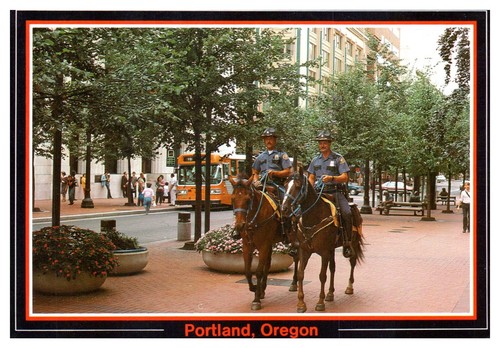 Portlands Mounted Police Downtown Transit Mall City Posted Wob Chrome ...