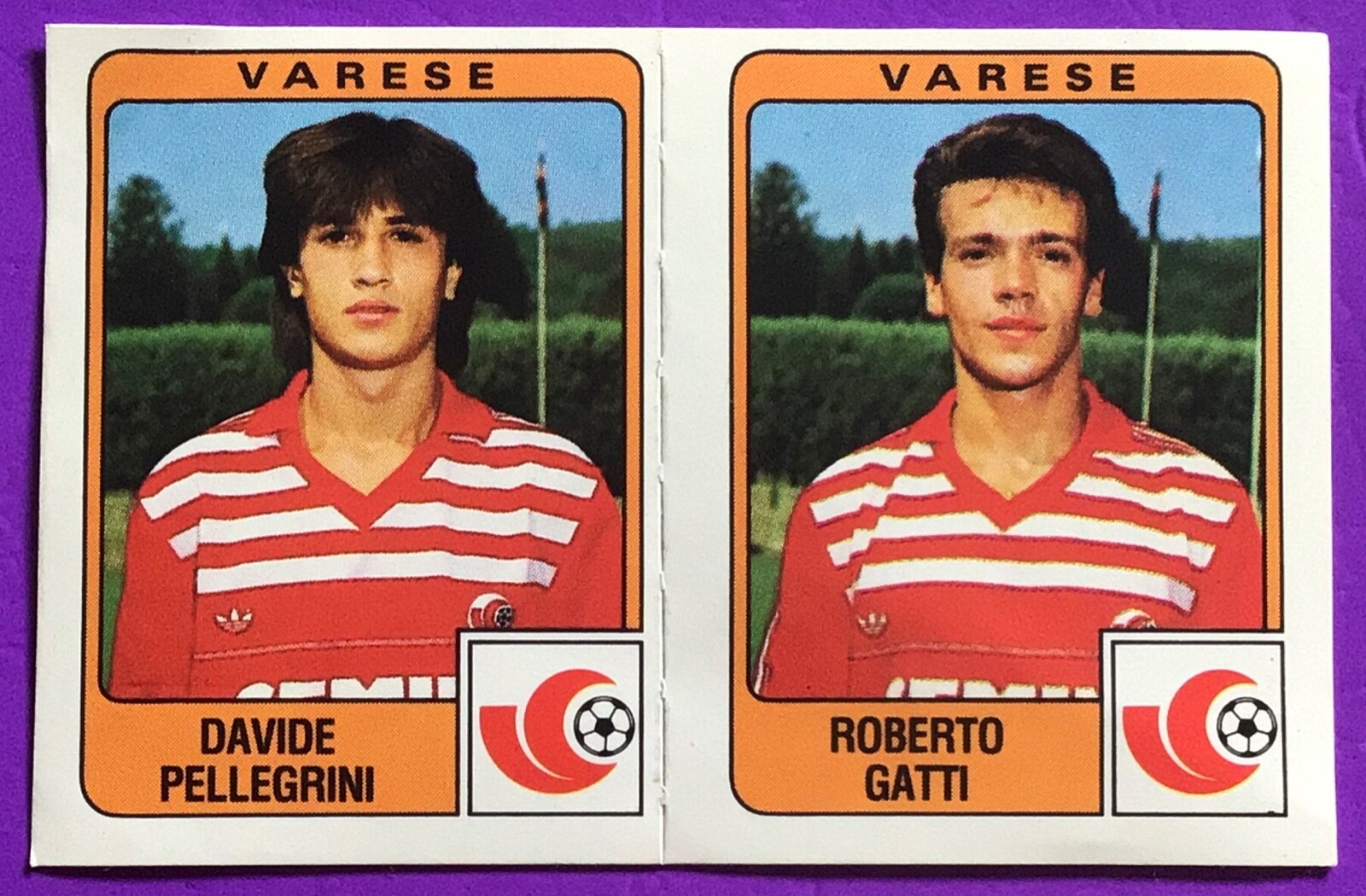 Varese, Pellegrini Signature - Cats Figurine Sticker N.493 * Panini ...