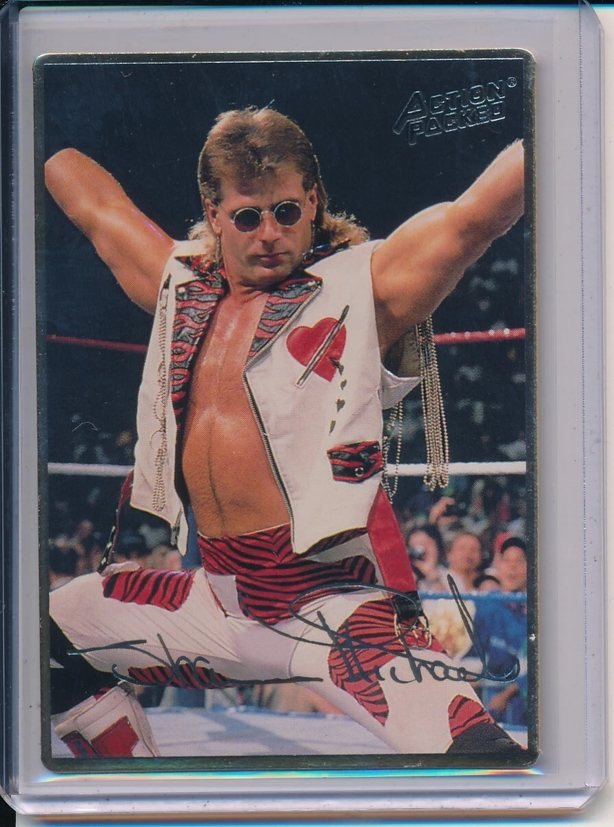 Shawn Michaels 1994