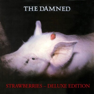 The Damned STRAWBERRIES Sanctuary Records NEW SEALED BLACK VINYL RECORD ...