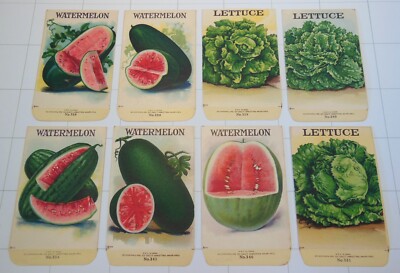 8 Vintage Watermelon & Lettuce SEED PACKETS (G14)-Galloway Litho-2 3/4 ...