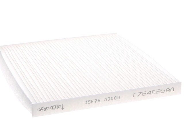 Genuine Hyundai Cabin Air Filter 3SF79AQ000 OEM for sale online | eBay