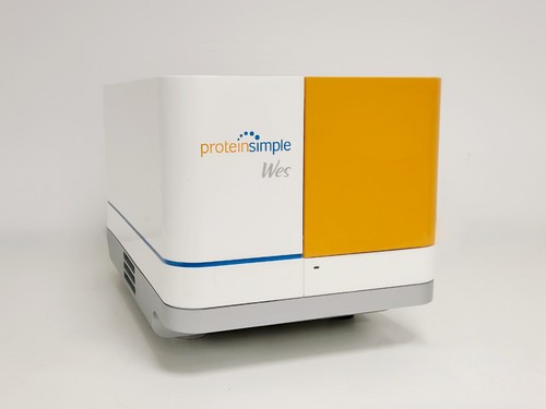 ProteinSimple Wes Western Blot Protein Analyser System S/R | eBay
