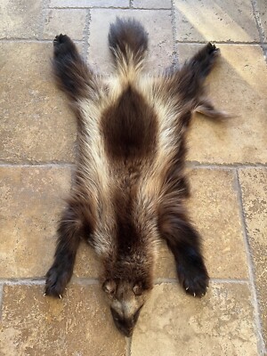 Vintage Full Wolverine Pelt with Claws | eBay