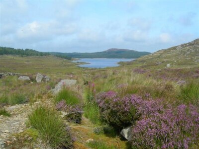 Photo 6x4 Loch Bradan View Carrick Forest Viewed from the cycle track ...