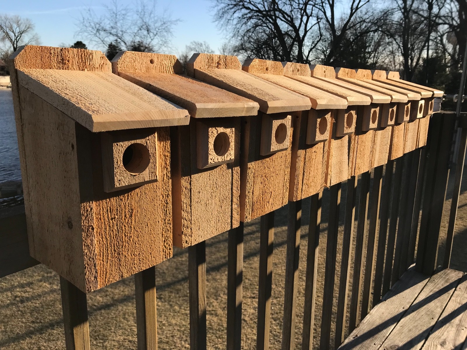 Cedar Bluebird Bird House 3/4" THICK Cedar Birdhouse! Predator Guard ...