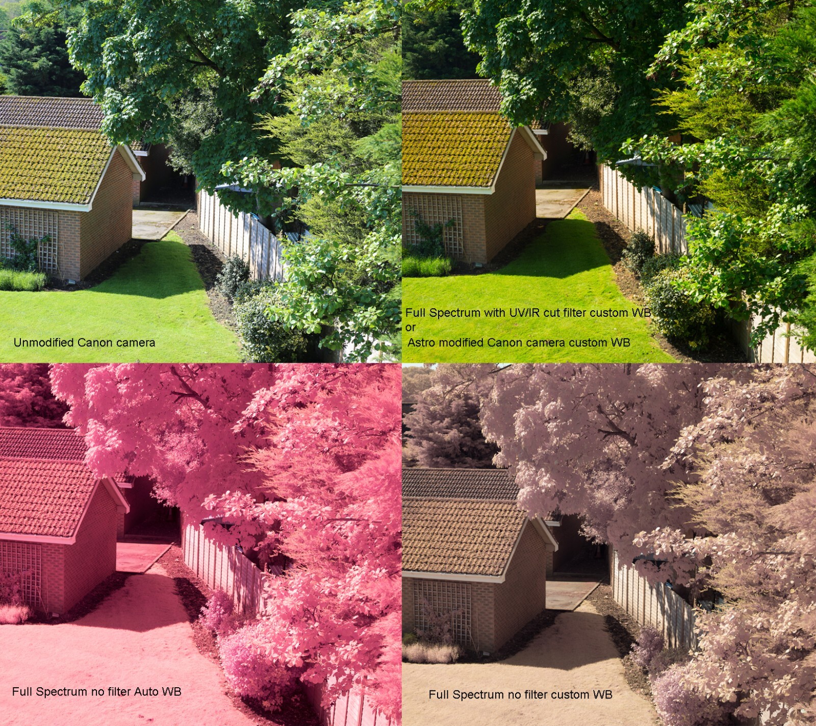 Camera conversion I modify YOUR Canon Nikon to Full Spectrum - Astro ...