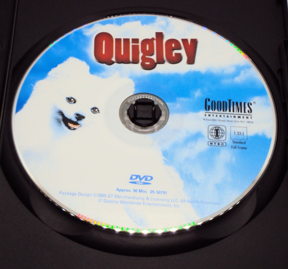 QUIGLEY DVD Dog Hating Billionaire GARY BUSEY Is Reincarnated As A ...