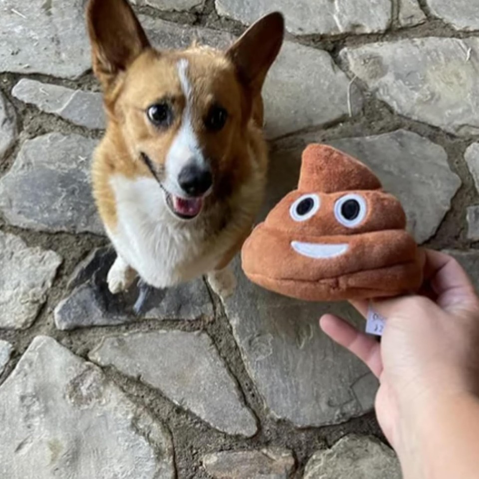 Funny Talking Poop Plush Toy,Makes Fart Sounds, Fake Poop Dog Toy for ...