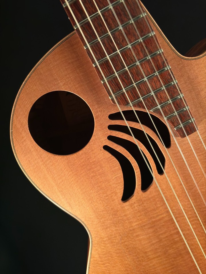 2001 Jamon Zeiler "California Condor" Acoustic "Electric" Nylon String ...