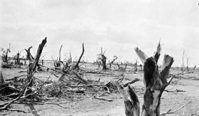 Broken trees after a cyclone Manangatang Victoria 1934 OLD PHOTO | eBay ...
