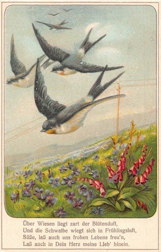 Spring Landscape Swallow Birds Flying Blue Bell Pansies Flower embossed ...