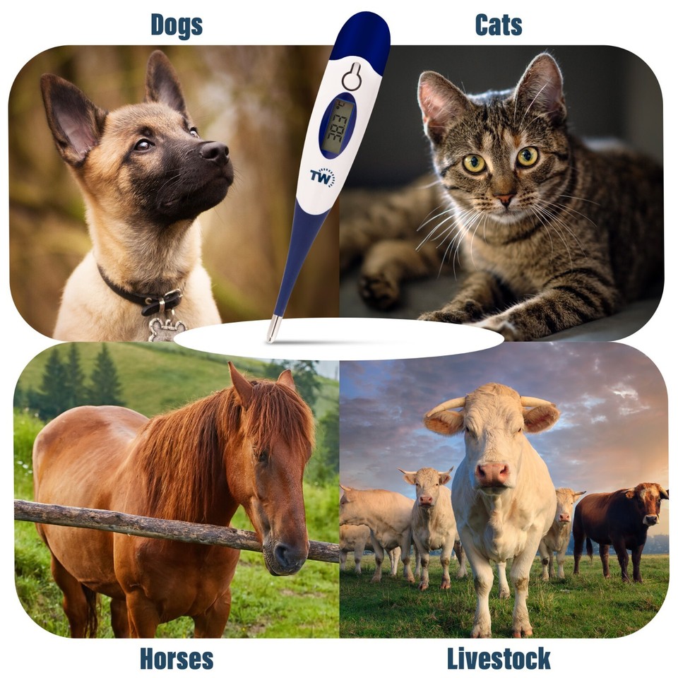 Dog Thermometer Pet Animal Horse Cat Fast and Flexible Tip Vet ...